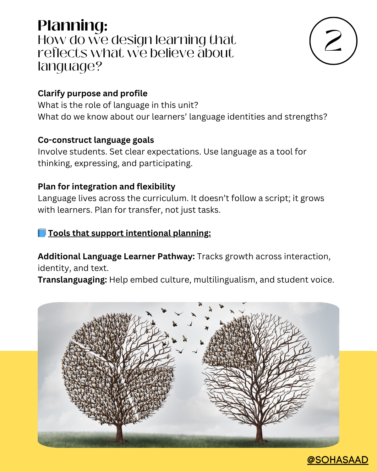 Language Learning in the PYP – The Organized Chaos In The PYP Classroom